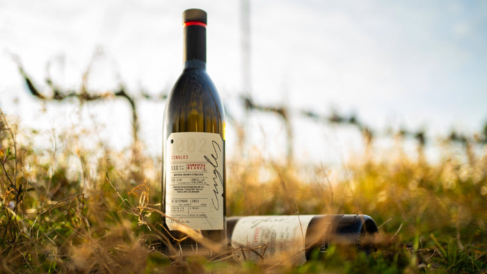 PONS | Extra Virgin Olive Oil and Wines with Protected Designation of ...